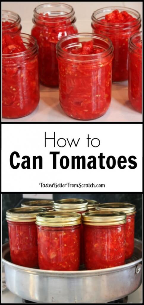 Preserves 101 + Best 15 Jelly, Salsa, Sauce, Pickle, Jam Recipes