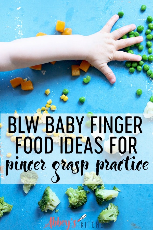 Best BLW Baby Finger Food Ideas for Pincer Grasp Practice 9 -12 months ...