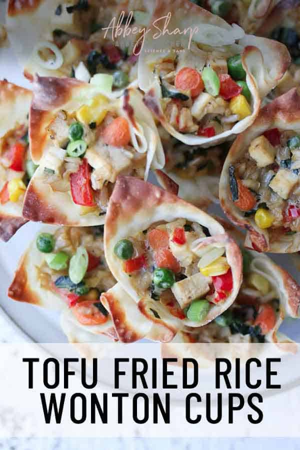 Tofu Fried Rice Mini Snack Cups (Toddler Friendly) - Abbey's Kitchen